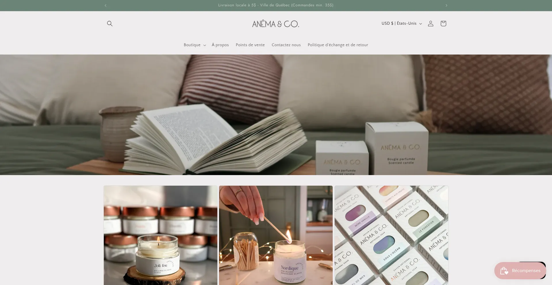 Anema.ca Reviews | Scam, Legit or Safe Check