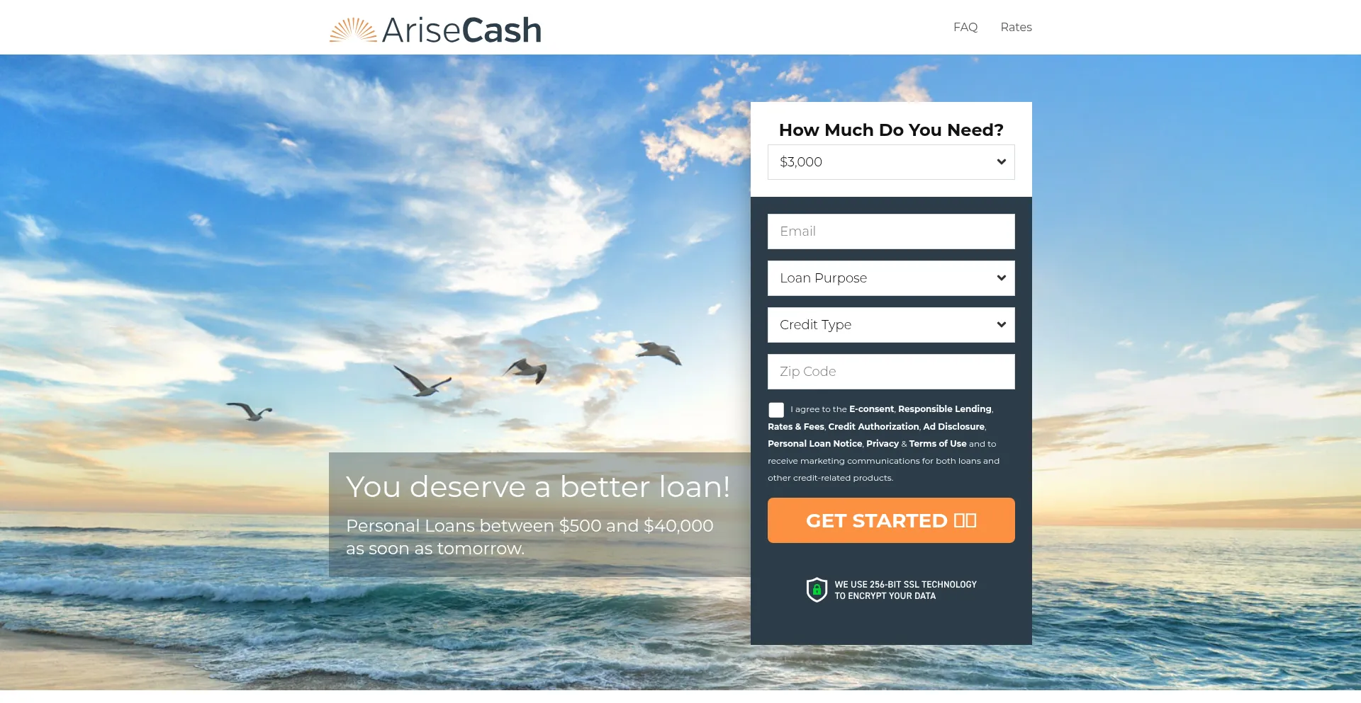 Arise-cash.com Lending Service Review (56/100 Trust Score)