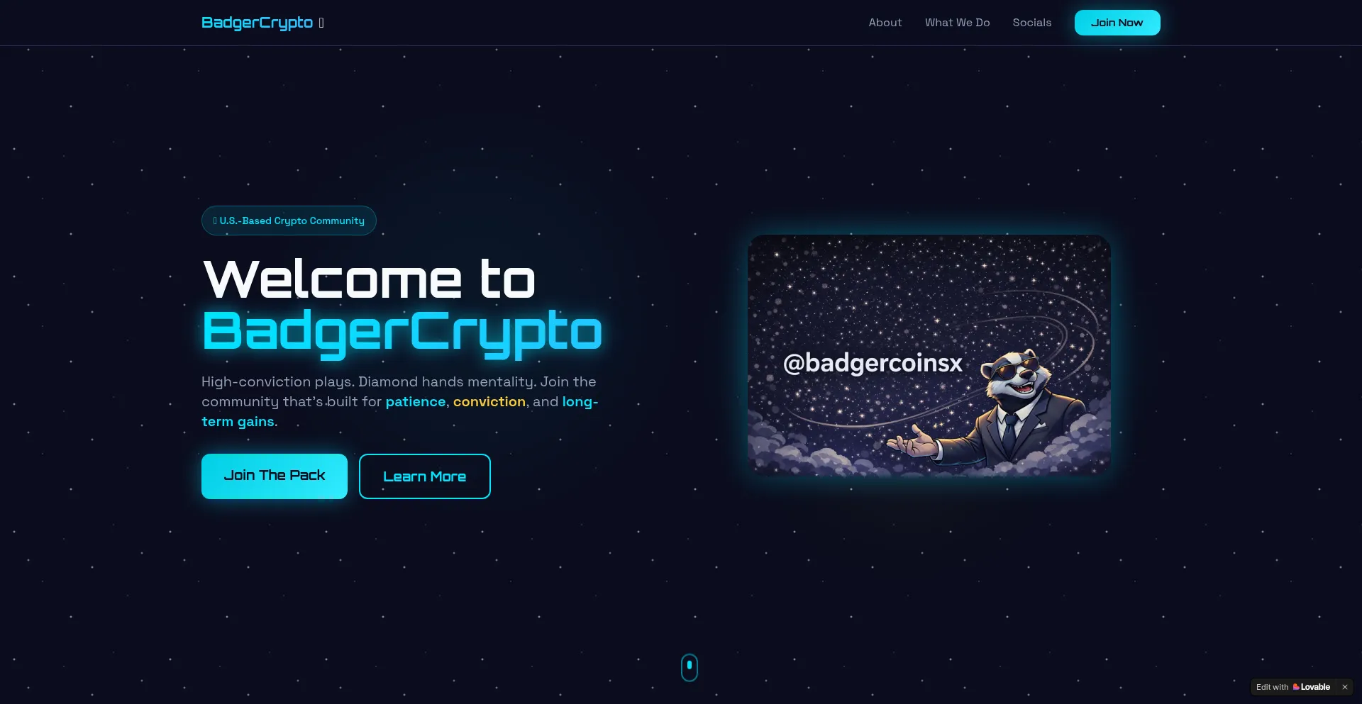 Badger-blitz-launch.lovable.app Review: Reputation Check and Risk Signals