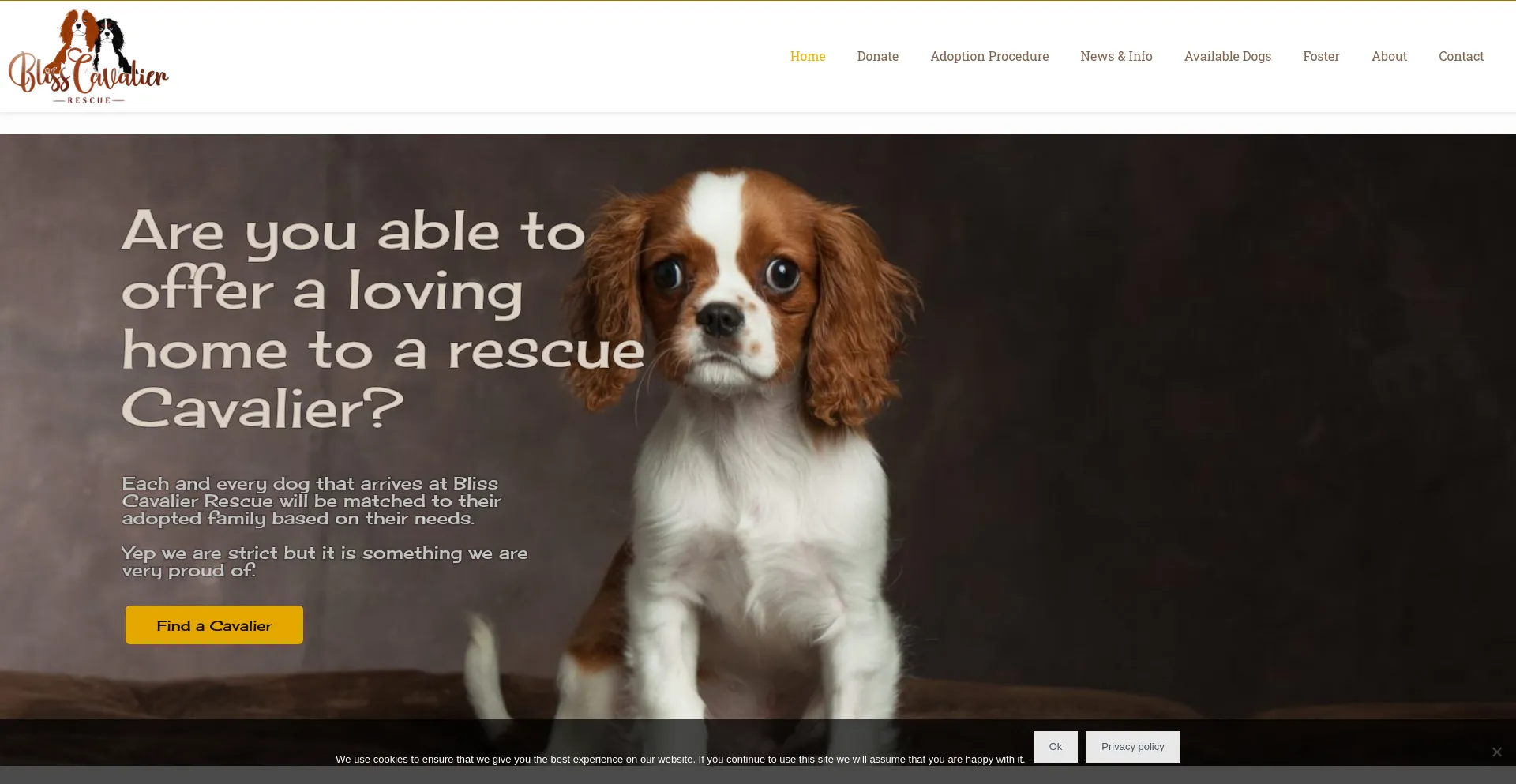 Blisscavalierrescue.org Reviews | Scam, Legit or Safe Check