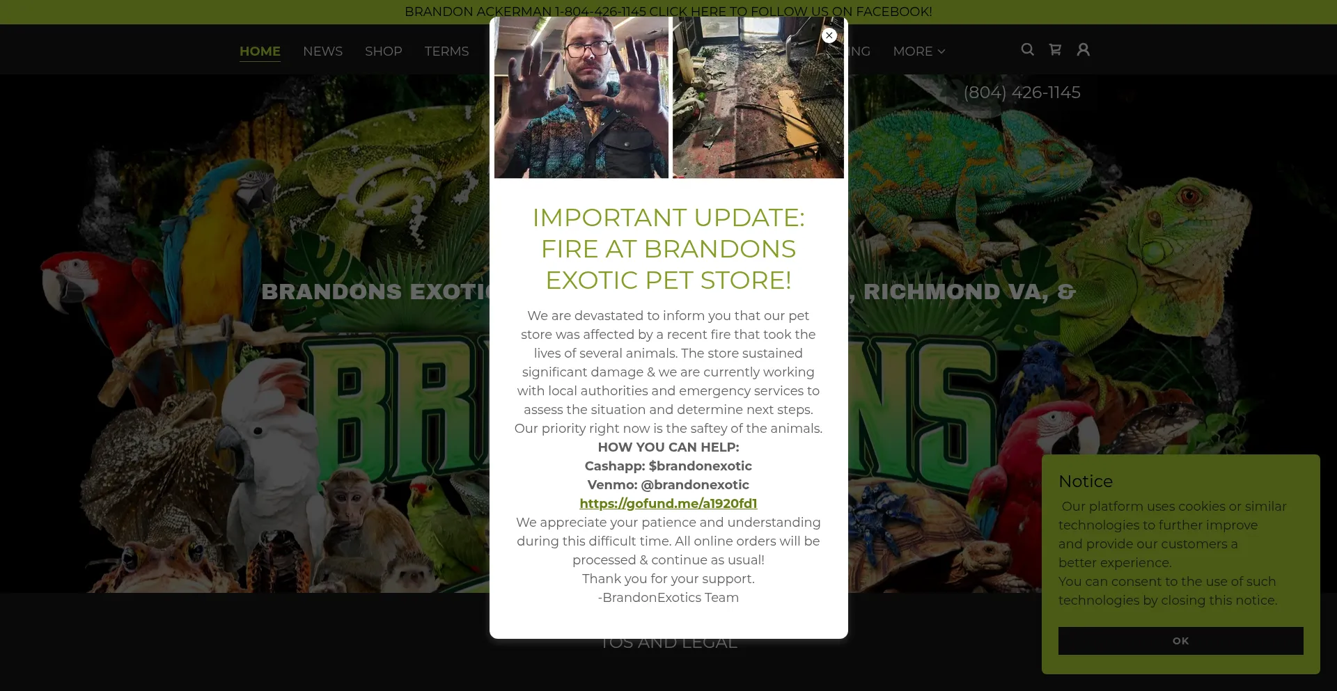 Brandonexotic.com Review: Is It Safe? (70/100 Trust Score)
