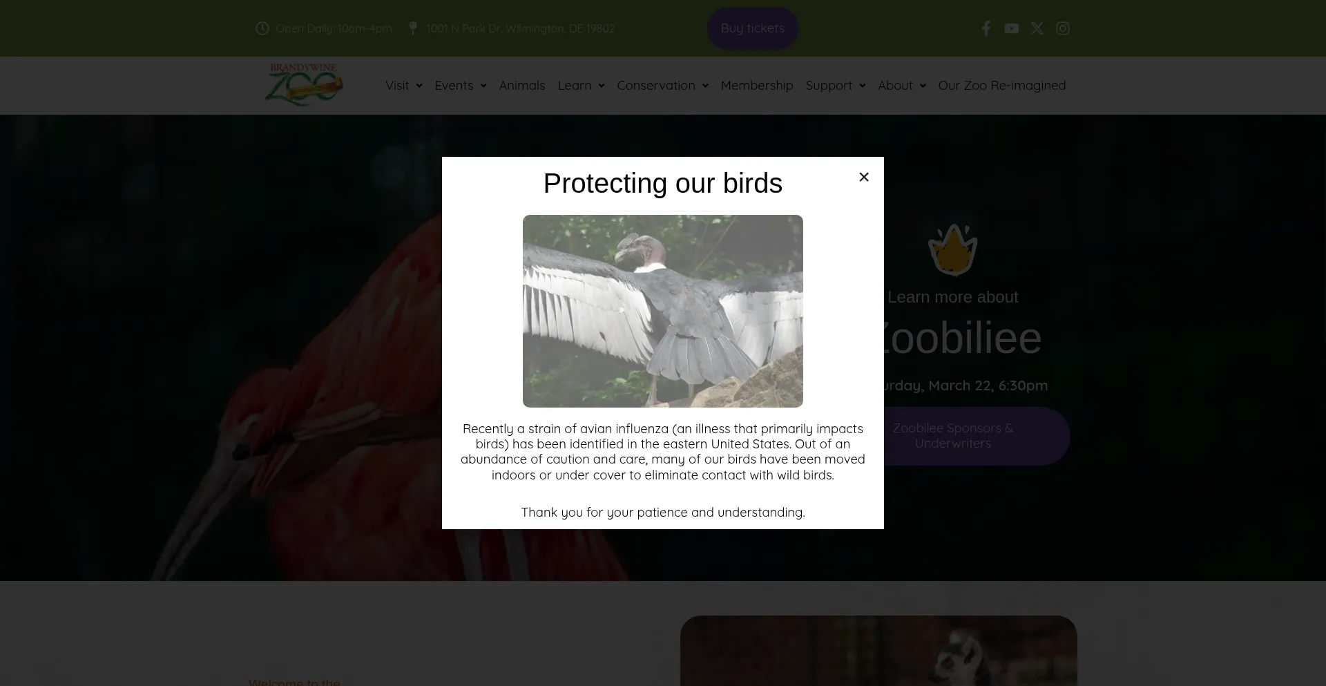 Brandywinezoo.org Reviews | Check if site is scam or legit