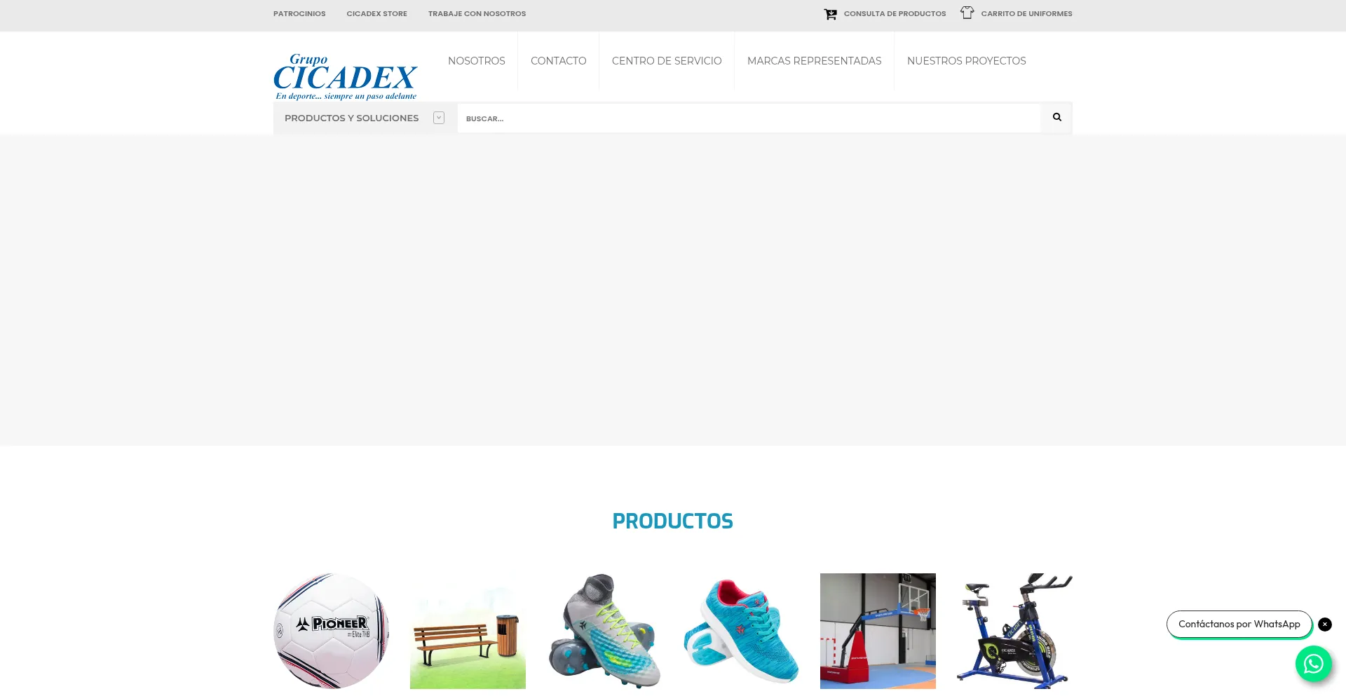Cicadex.com Review: Is It Safe to Use?