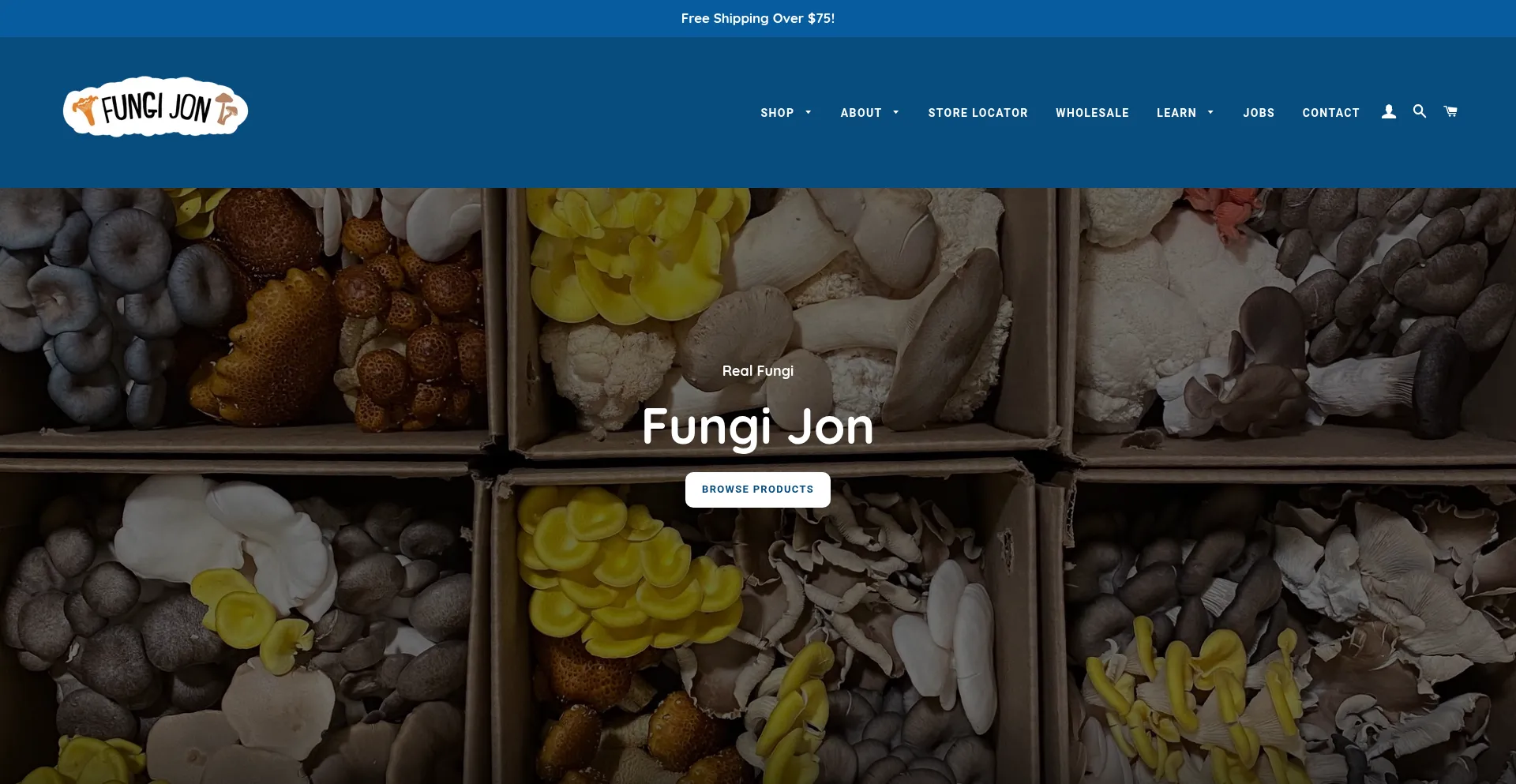 Fungijon.com Reviews | Scam, Legit or Safe Check