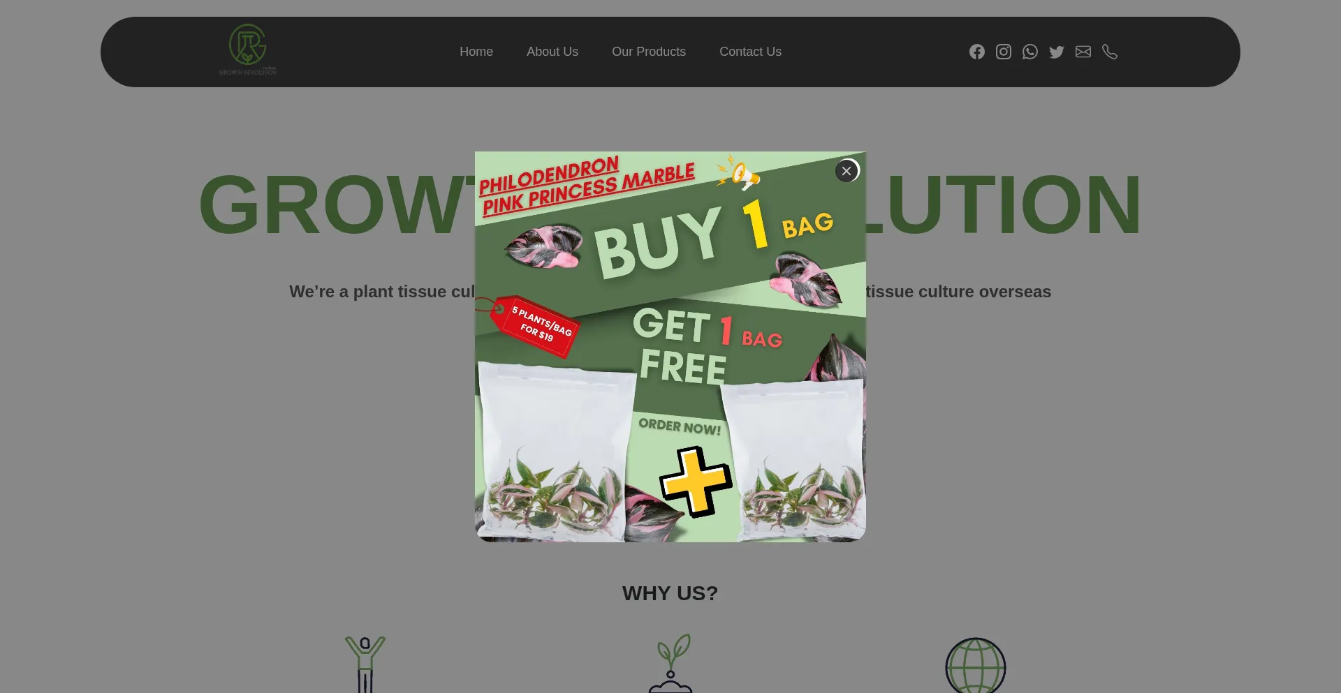 Growthrevolution.co.th Reviews | Scam, Legit or Safe Check