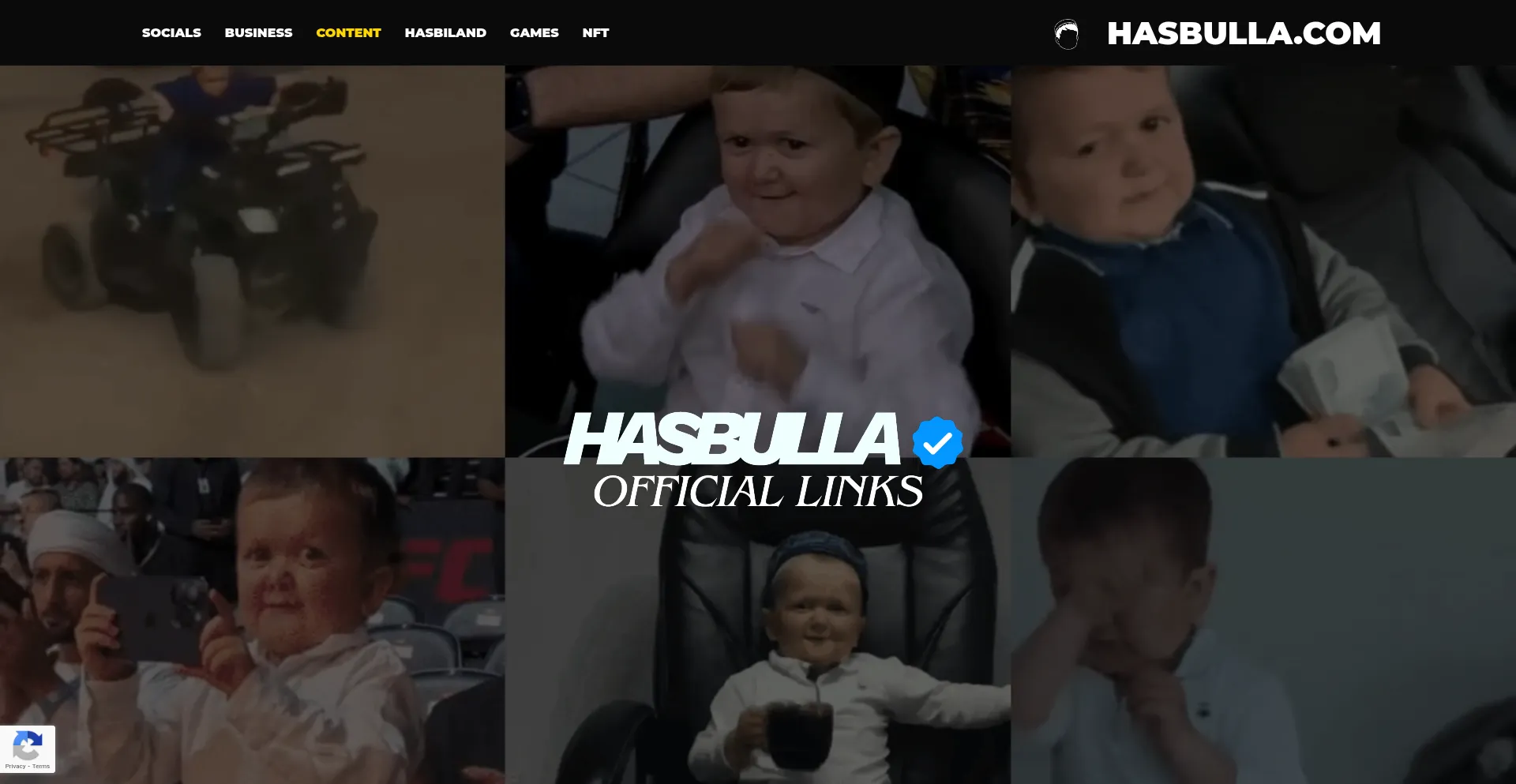 Hasbulla.com Reviews | Scam, Legit or Safe Check