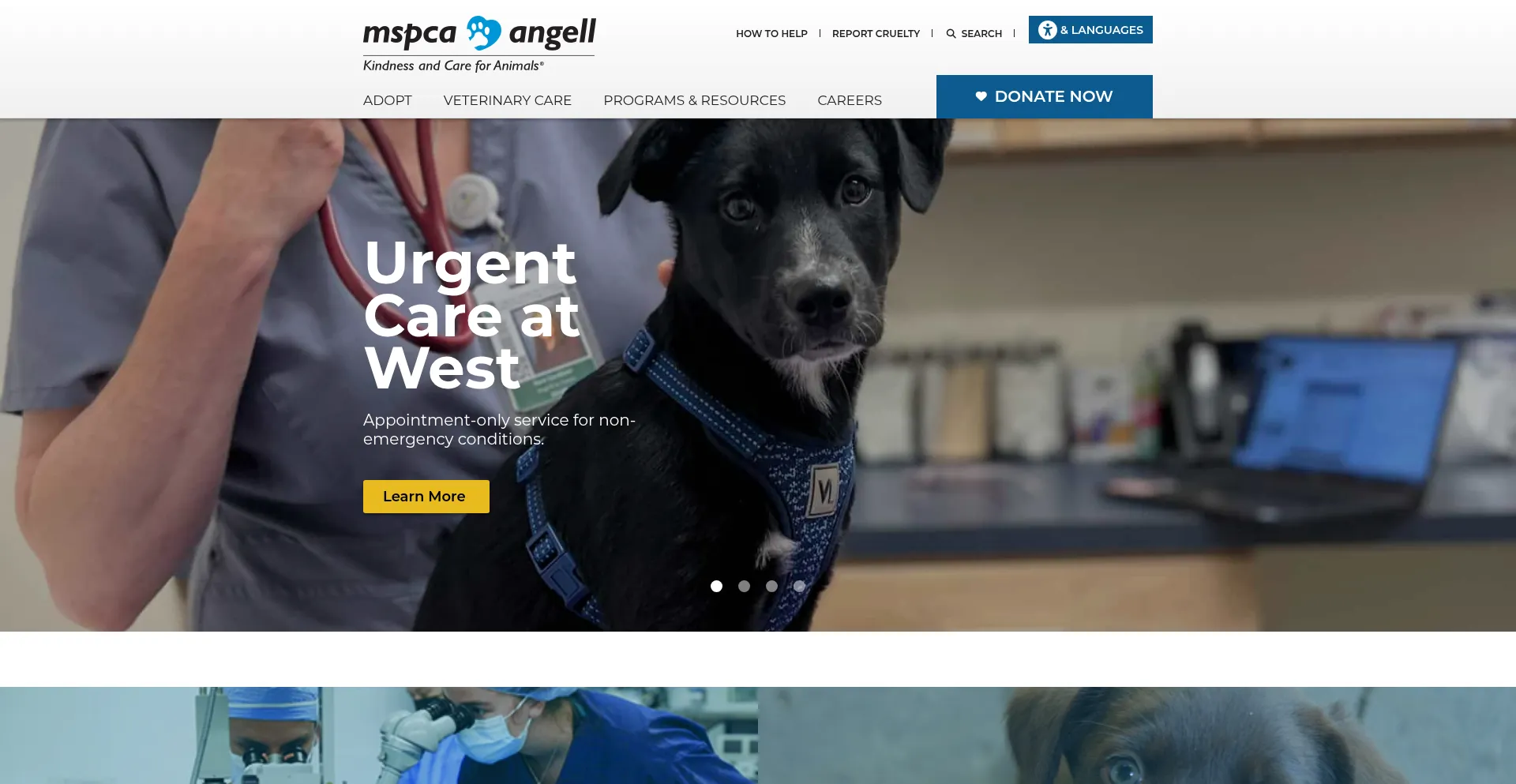 Mspca.org Reviews | Scam, Legit or Safe Check