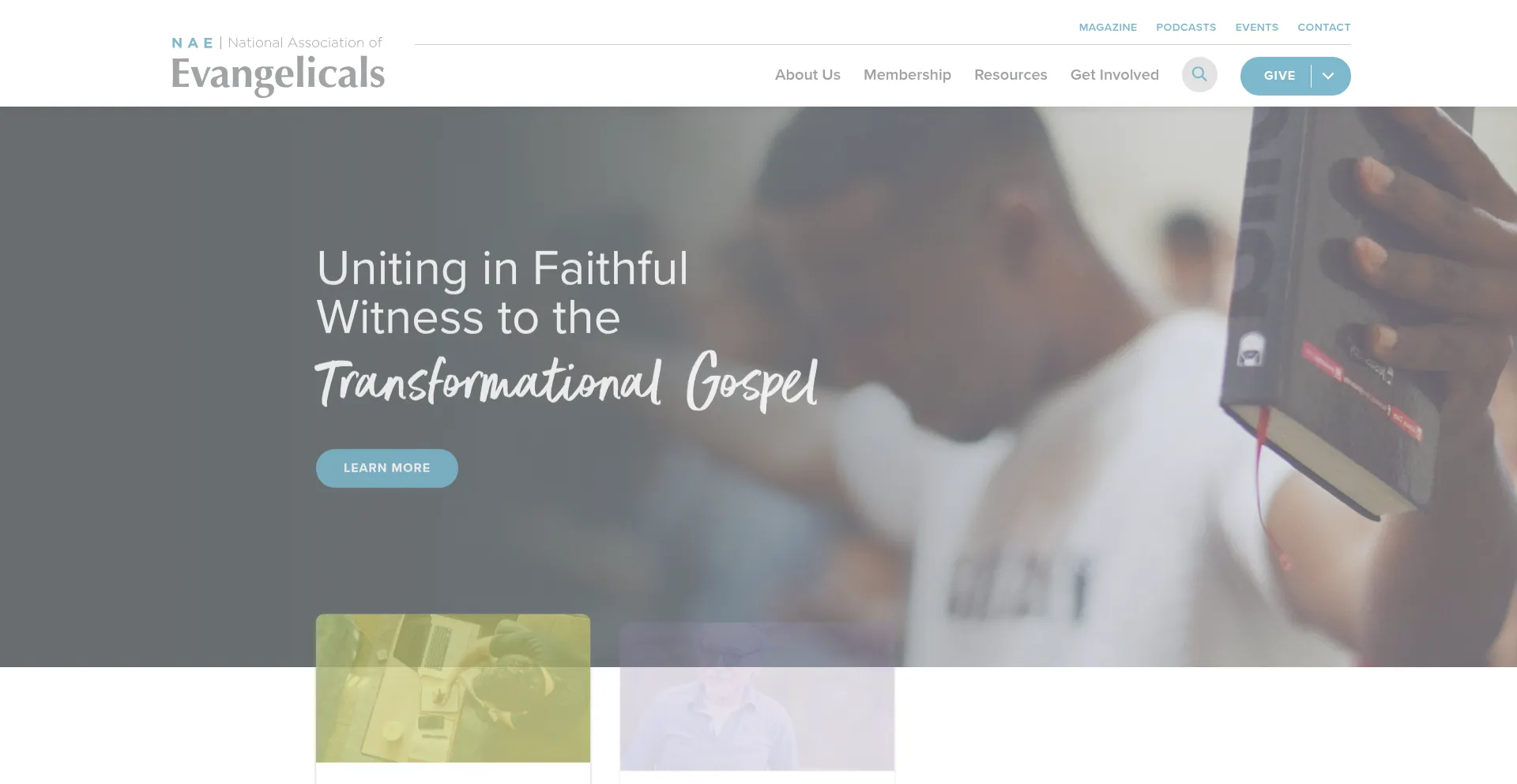 Nae.org Reviews | Check if site is scam or legit