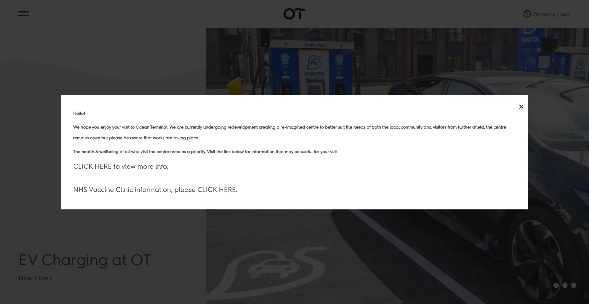 Oceanterminal.com Review: Safety Check, Warnings, and User Feedback