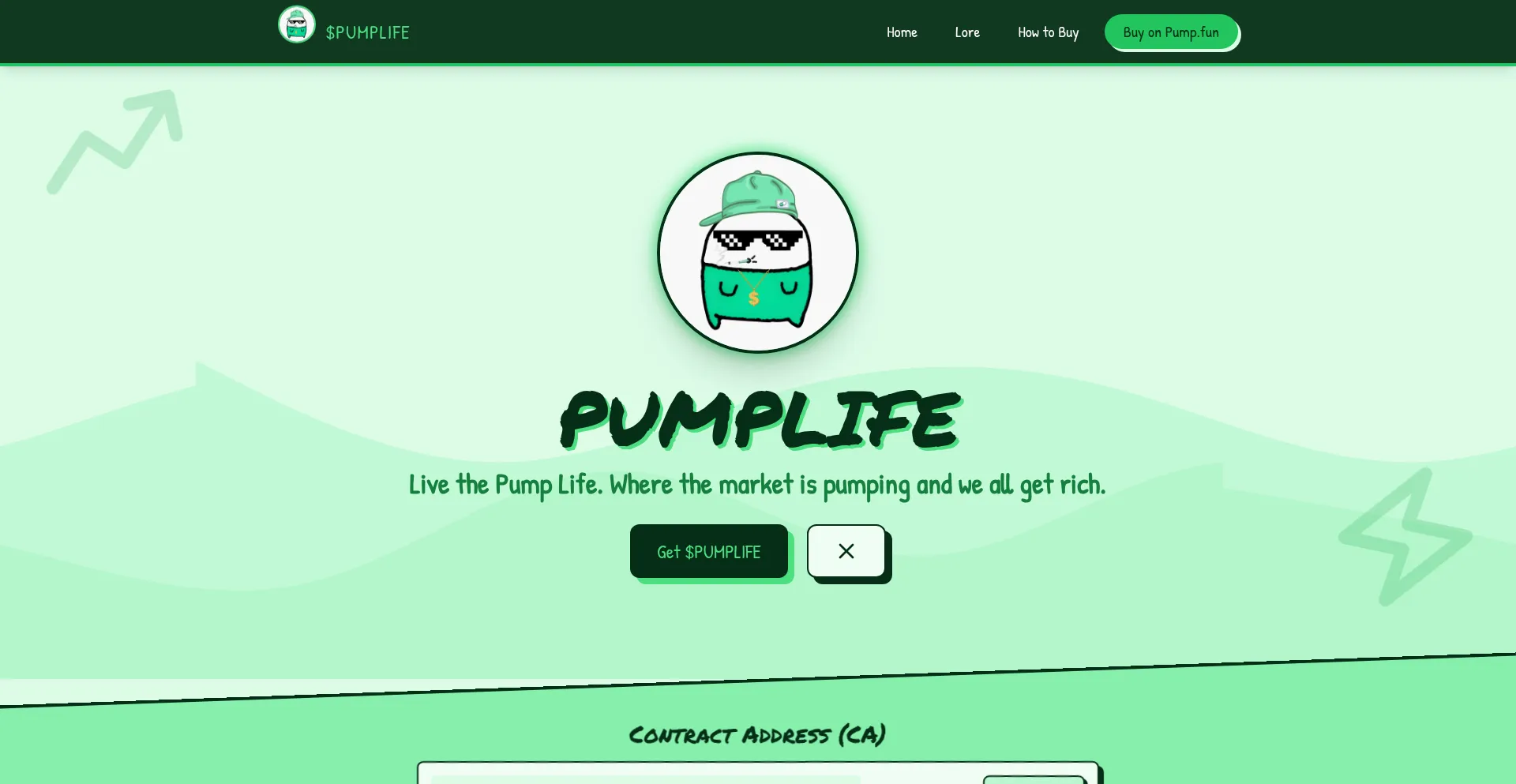 Pumplifeonsol.vercel.app Reviews | Scam, Legit or Safe Check