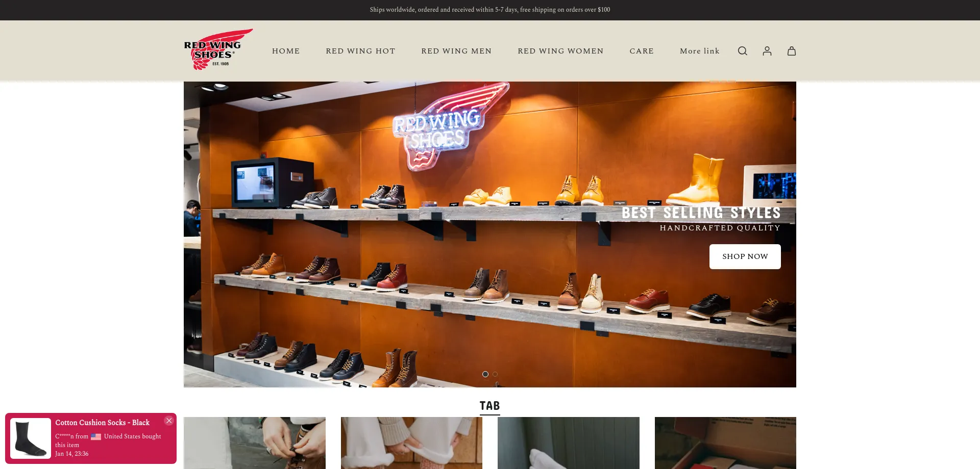 Redwingfilm.life Review: Suspicious Shop. Very low trust score: 1%