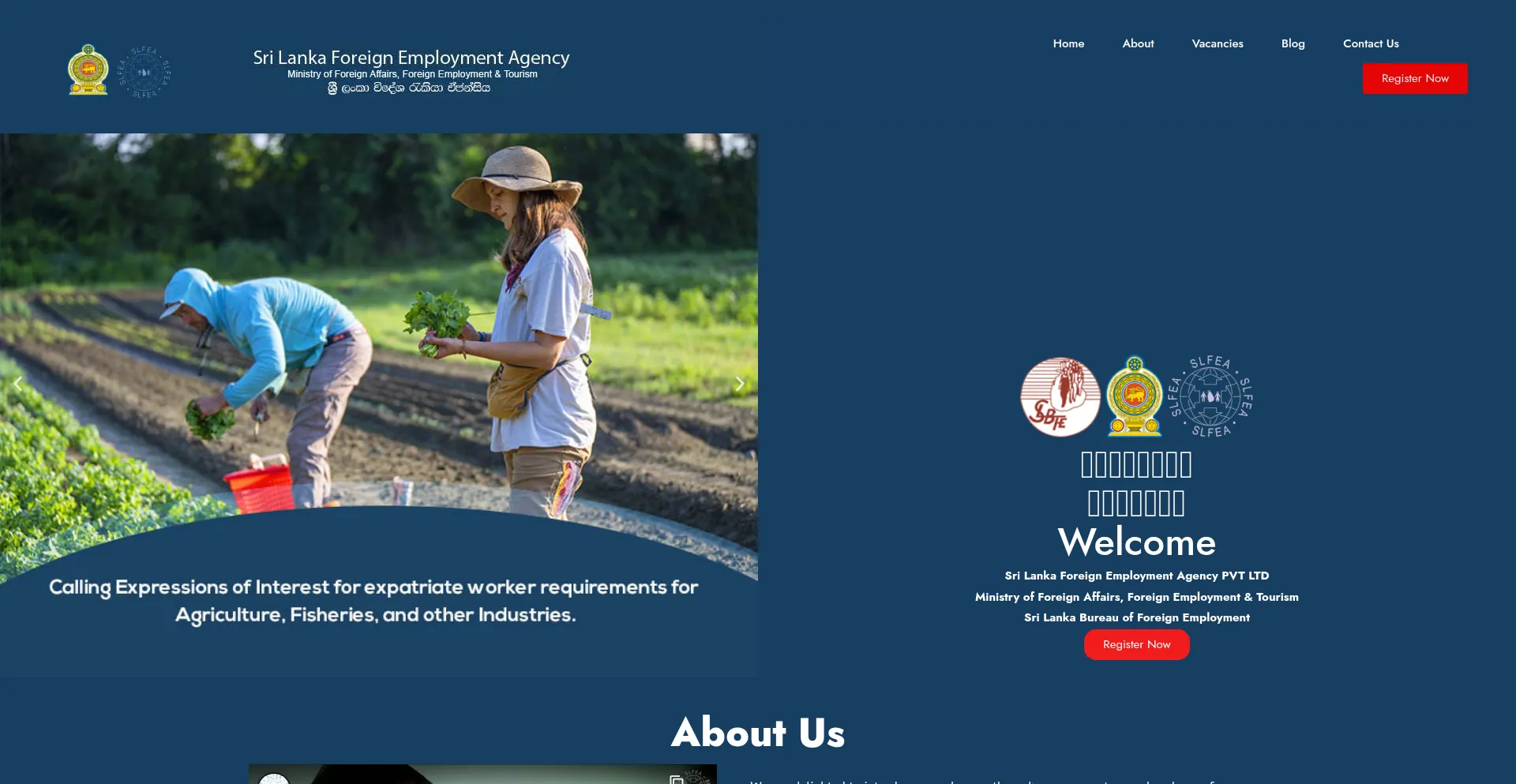 Slfea.lk Reviews | Scam, Legit or Safe Check