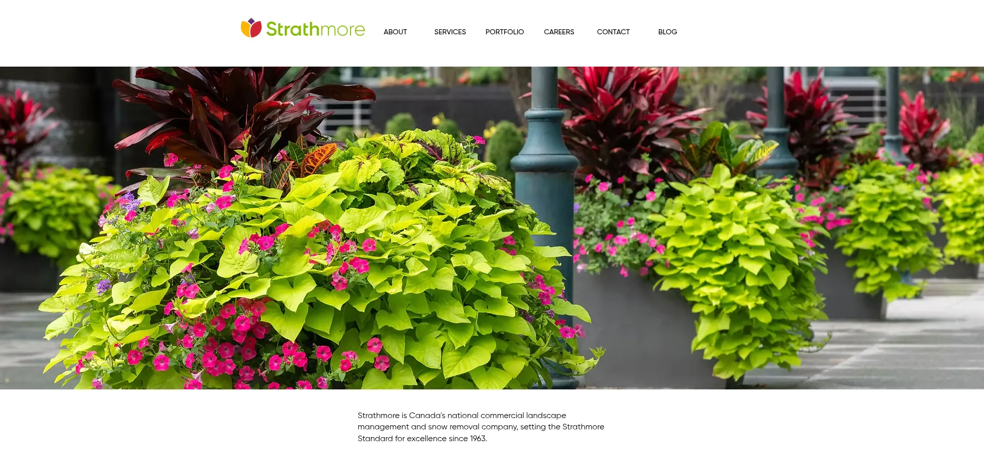 Strathmore Reviews - Is Strathmore.pro Safe and Legit?