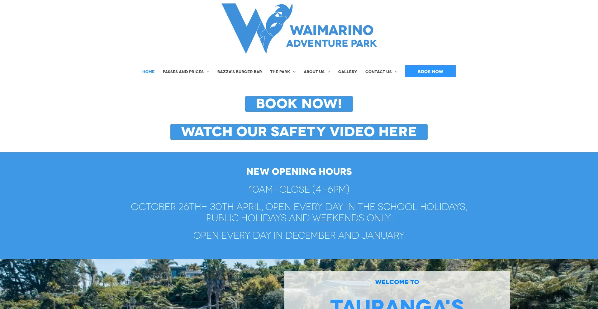 Torchstorm.com Reviews | Scam, Legit or Safe Check